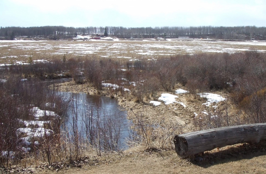 Natural Surroundings - Lazy M Lodge