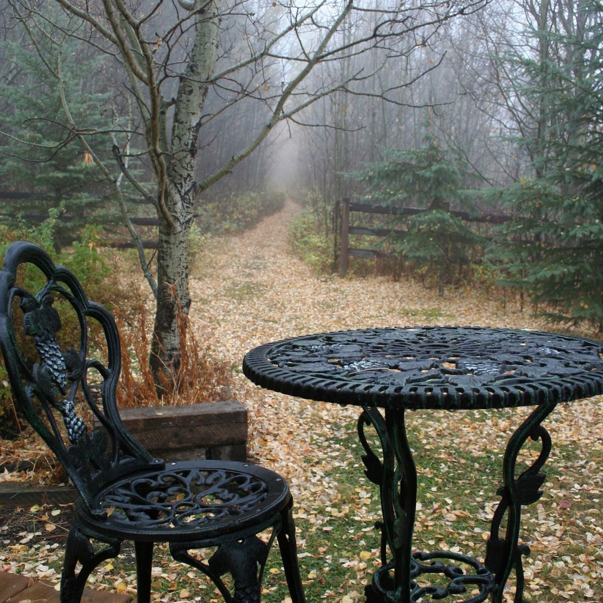 Natural Surroundings - Lazy M Lodge