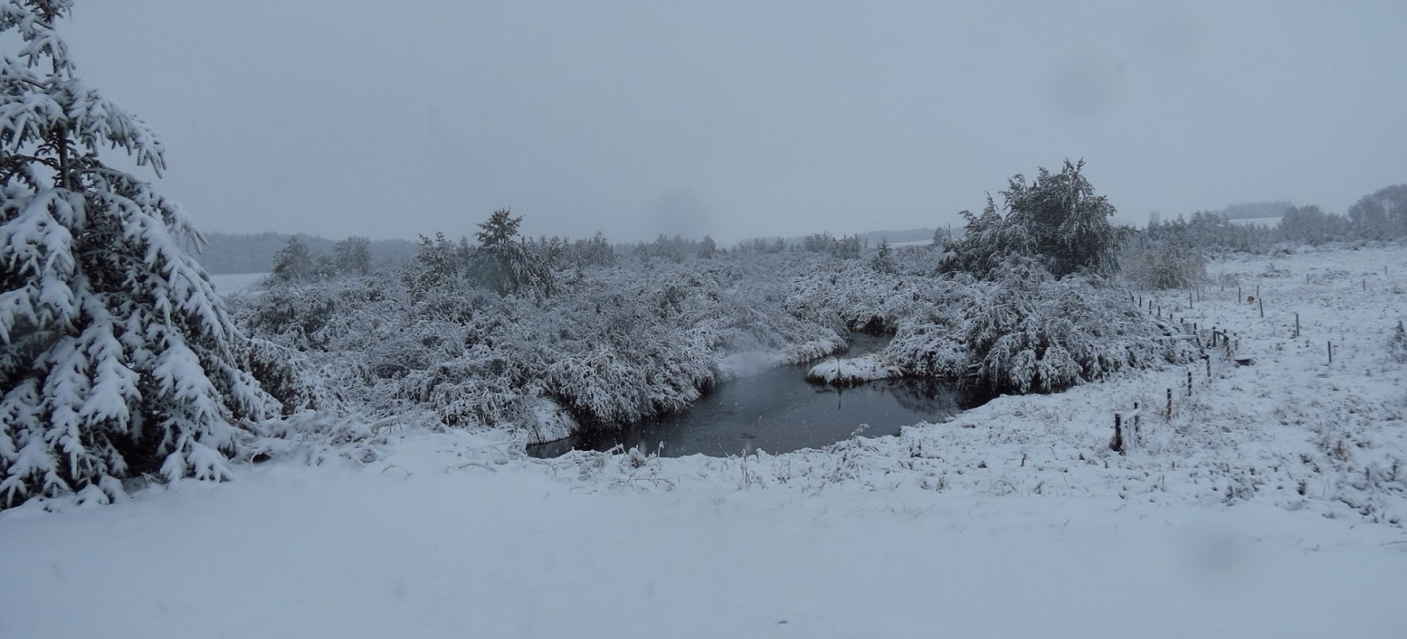 Natural Surroundings - Lazy M Lodge